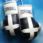 Cornwall Mini Boxing Gloves