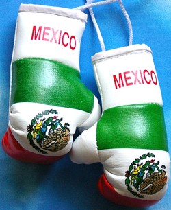 Mexico Mini Boxing Gloves